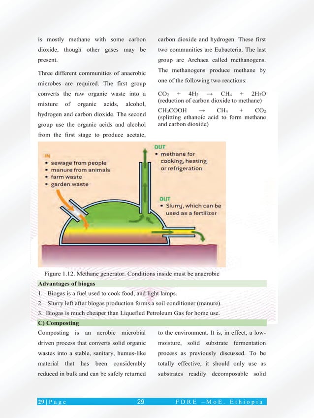 G12-Biology-STB-2023-web text for students | PDF | Brain and Nervous ...