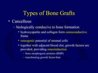 G12 bone grafts & subs | PPT