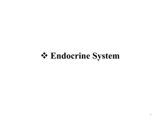 Endocrine System | PPT