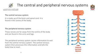 diseases of nervous system.pptx