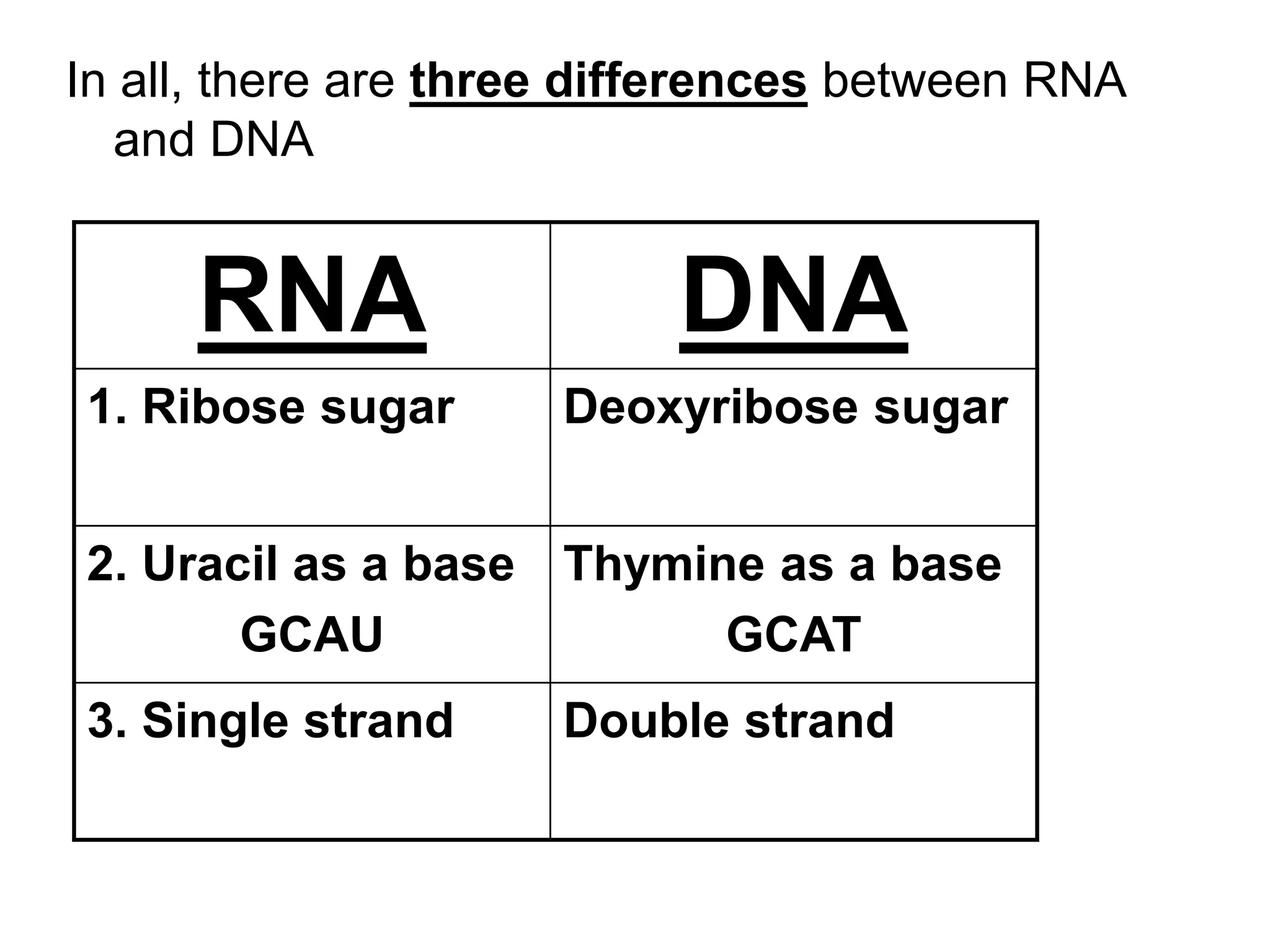 Protein-synthesis,sinh tổng hợp protein.ppt