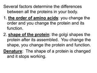 Protein-synthesis,sinh tổng hợp protein.ppt