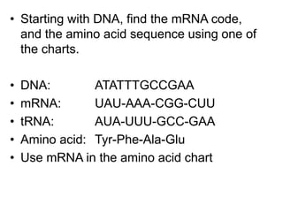 Protein-synthesis,sinh tổng hợp protein.ppt