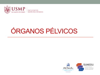 G1 ANATOMIA ARF-Dr.CASTRO.pdf