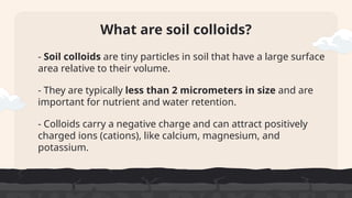 The Chemical Properties of Soil/SOIL COLLOIDS AND SILICATE CLAYS.pptx