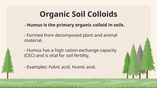 The Chemical Properties of Soil/SOIL COLLOIDS AND SILICATE CLAYS.pptx