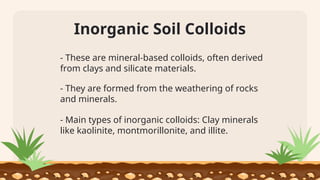 The Chemical Properties of Soil/SOIL COLLOIDS AND SILICATE CLAYS.pptx
