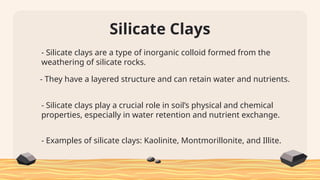 The Chemical Properties of Soil/SOIL COLLOIDS AND SILICATE CLAYS.pptx