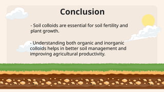 The Chemical Properties of Soil/SOIL COLLOIDS AND SILICATE CLAYS.pptx