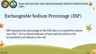 G1_Mabaslay_Base-Saturation-and-Exchangeable-Sodium-Percentage-ESP.pptx