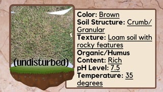 Soil Presentation: Investigation of Relationships between soil and ...