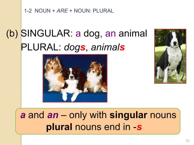 G1 the verb be articles - plurals | PPT