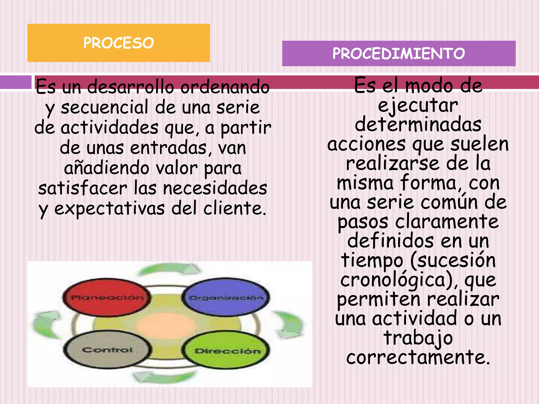 Organización de Procesos y Procedimiento | PPT