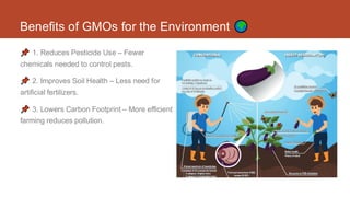 G2-Genetically-Modified-Organisms...pptx