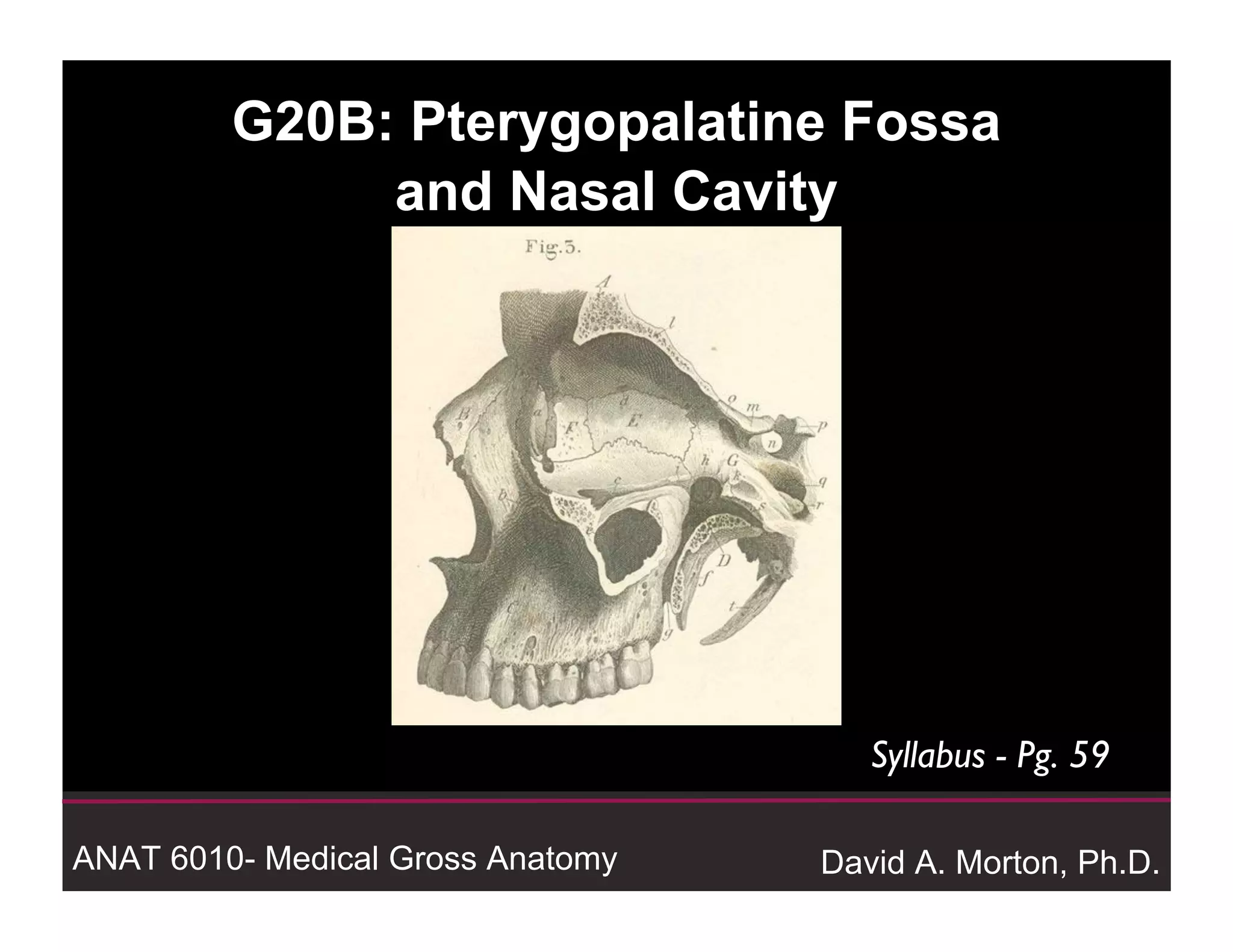 Anatomy of pterygopalatine fossa.ppt.pdf