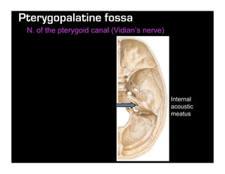 Anatomy of pterygopalatine fossa.ppt.pdf