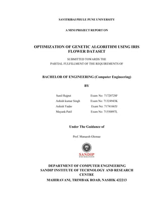 Genetic Algorithm for optimization on IRIS Dataset REPORT pdf | PDF | Technology & Computing