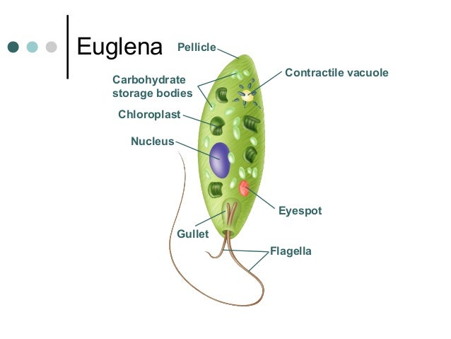 Classification notes2