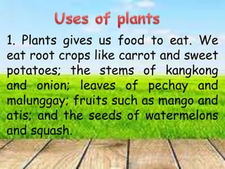 Needs of Plants | PPTX