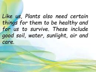Needs of Plants | PPTX