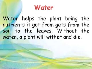 Needs of Plants | PPTX