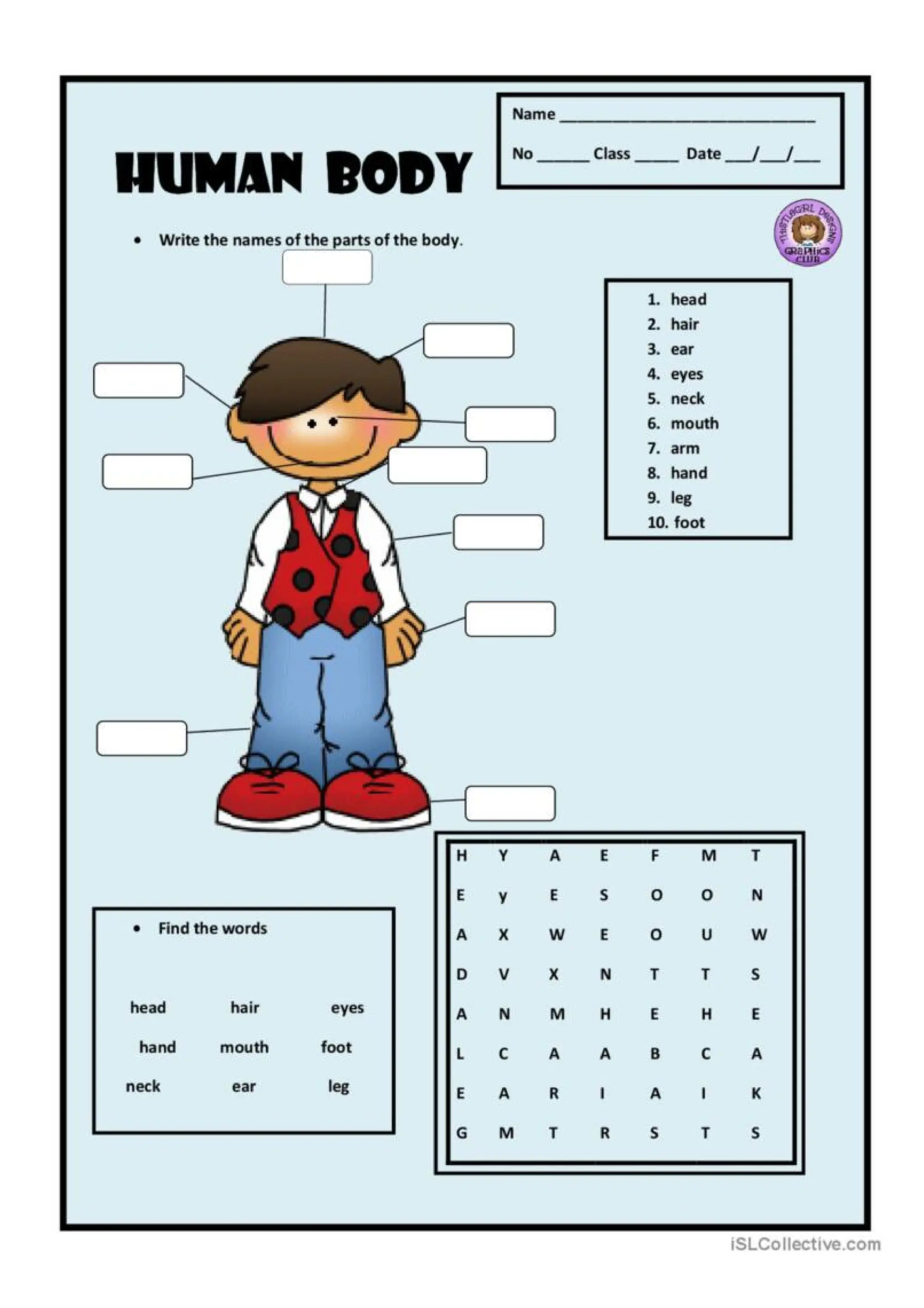 Grade 2_Test about body parts, human body, my face | PDF