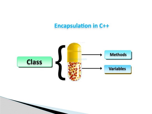 g3-encapsulation.pptxhhhhhhhsususuududjd | PPTX