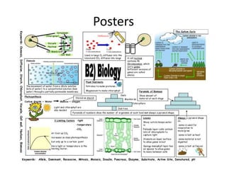 G325 question 1b revision ideas | PPT