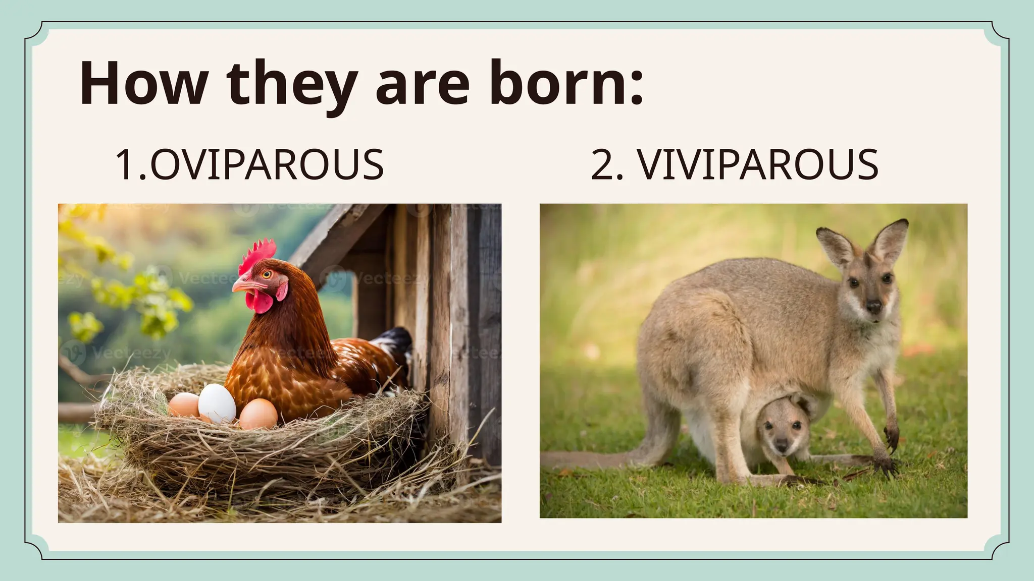 SCIENCE SUBJECT FOR GRADE THREE STUDENTS | PPTX