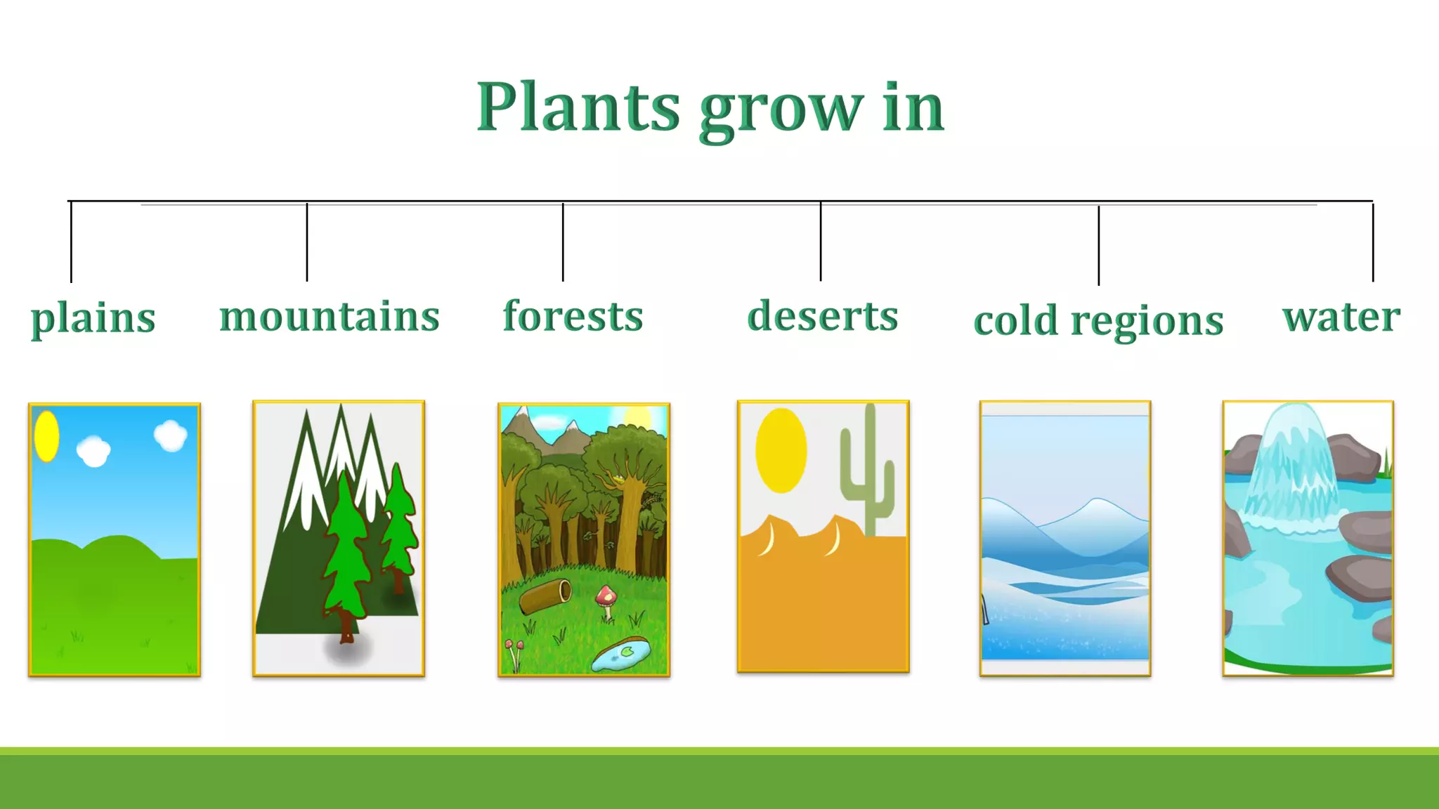 G3 EVS Ln - 2 Plants around us PPT - PDF.pdf