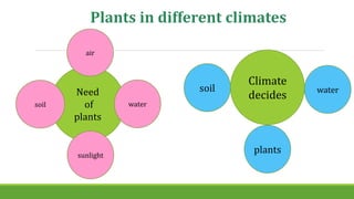 G3 EVS Ln - 2 Plants around us PPT - PDF.pdf