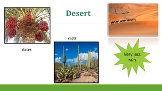 G3 EVS Ln - 2 Plants around us PPT - PDF.pdf