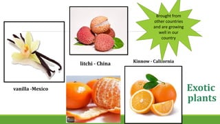 G3 EVS Ln - 2 Plants around us PPT - PDF.pdf