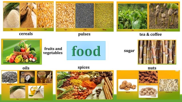 G3 EVS Ln - 2 Plants around us PPT - PDF.pdf