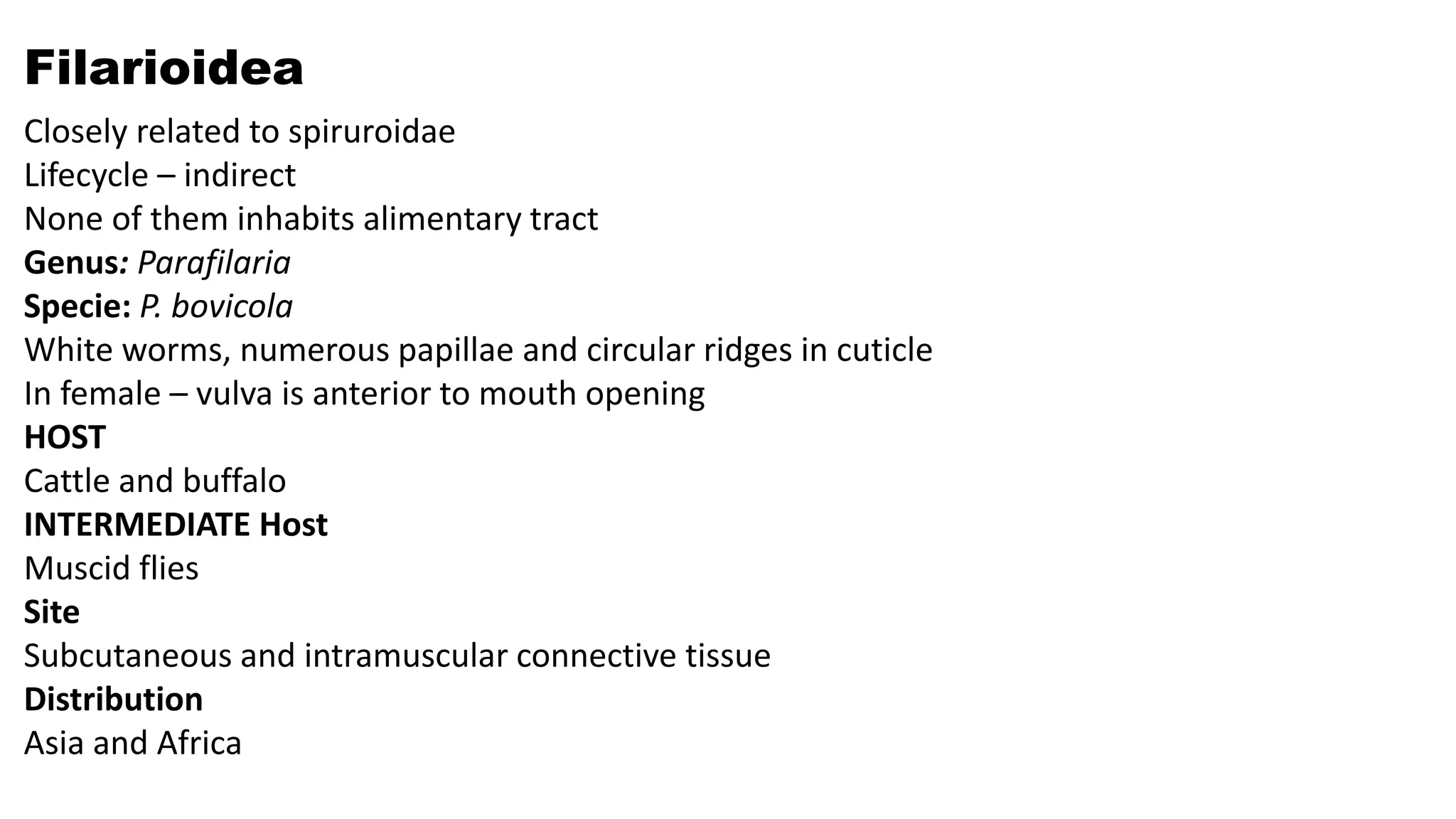 G 3 presentation (Filaroidea,Dirofilaria,Dipetalonema,Onchocera).pptx