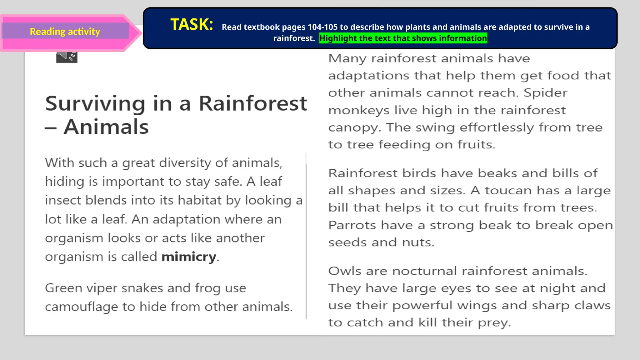 Grade 3 Tropical rainforest and characters.pptx