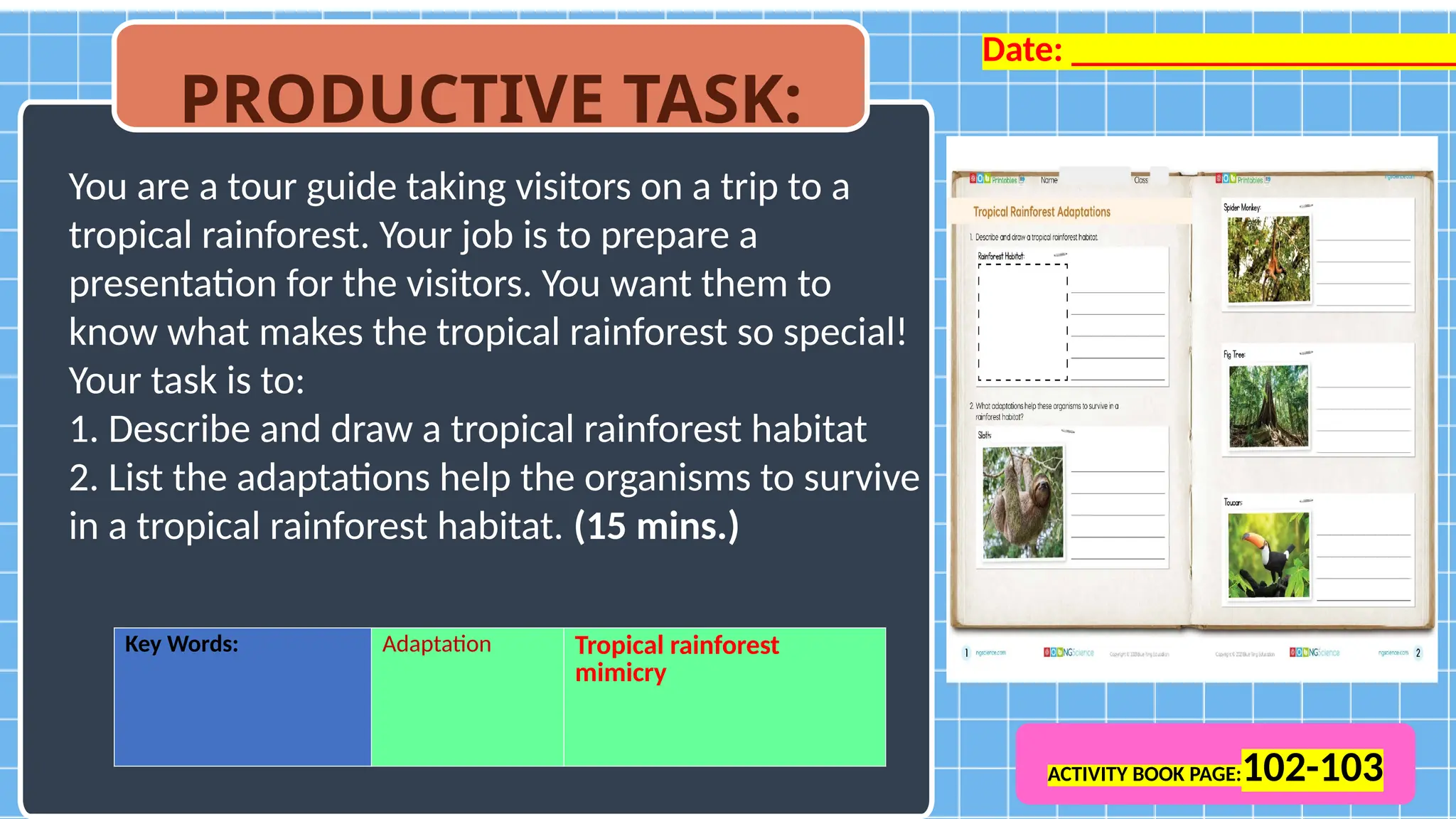 Grade 3 Tropical rainforest and characters.pptx