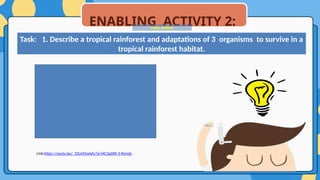 Grade 3 Tropical rainforest and characters.pptx