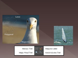 Lo3=presentation p6 | PPTX