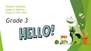 g3 types of roots.pptx science powerpoint | PPTX