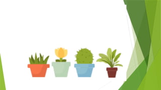 G3 Types Of Roots Pptx Science Powerpoint Pptx