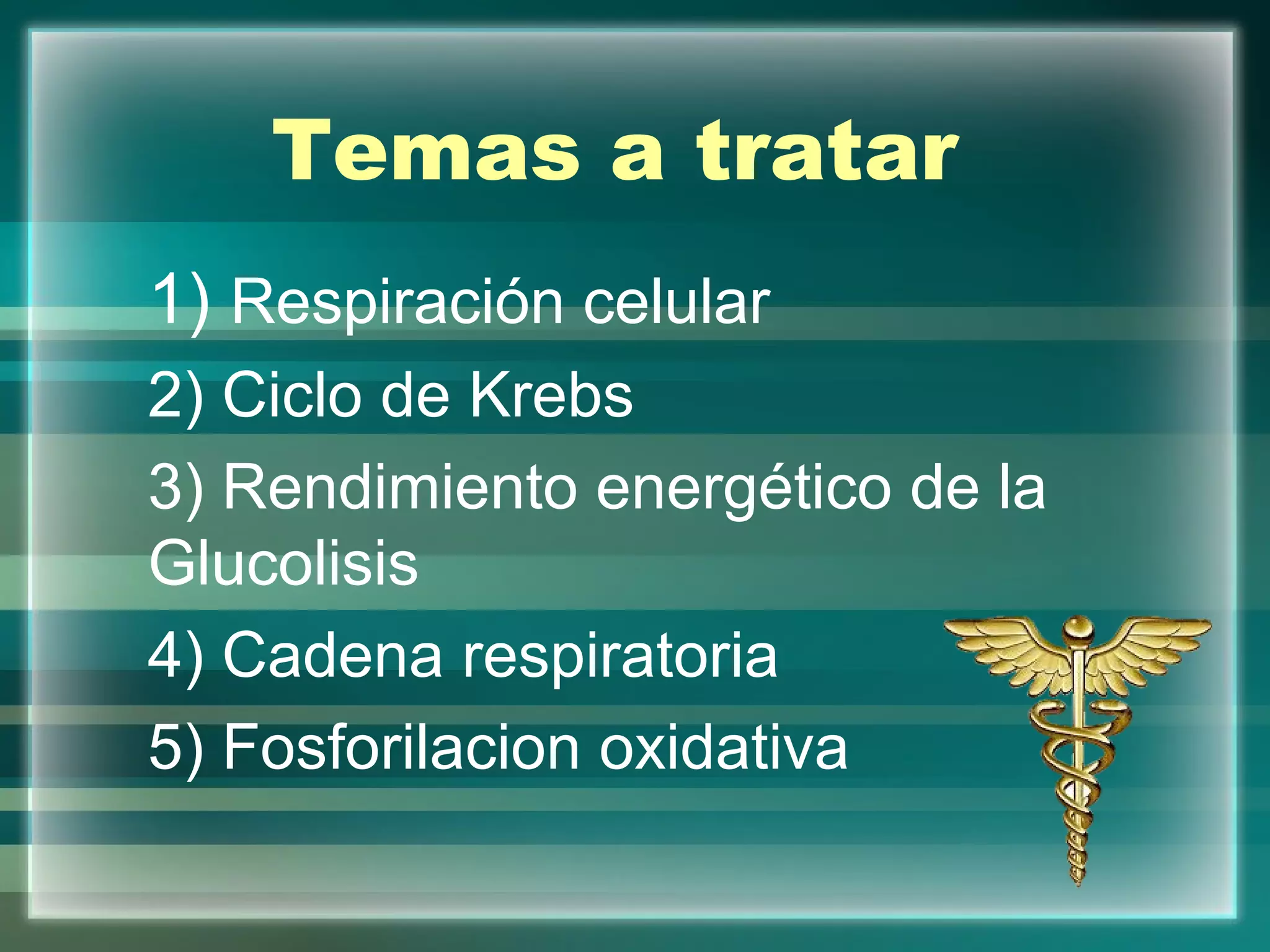 Respiracion celular | PPT