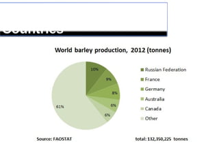 Barley | ODP
