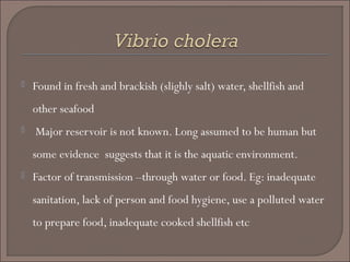 Vibrionaceae | PPT