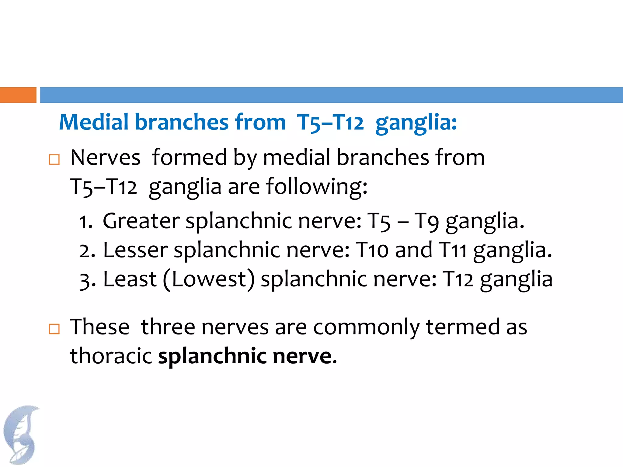 Sympathetic Anatomy | PPTX