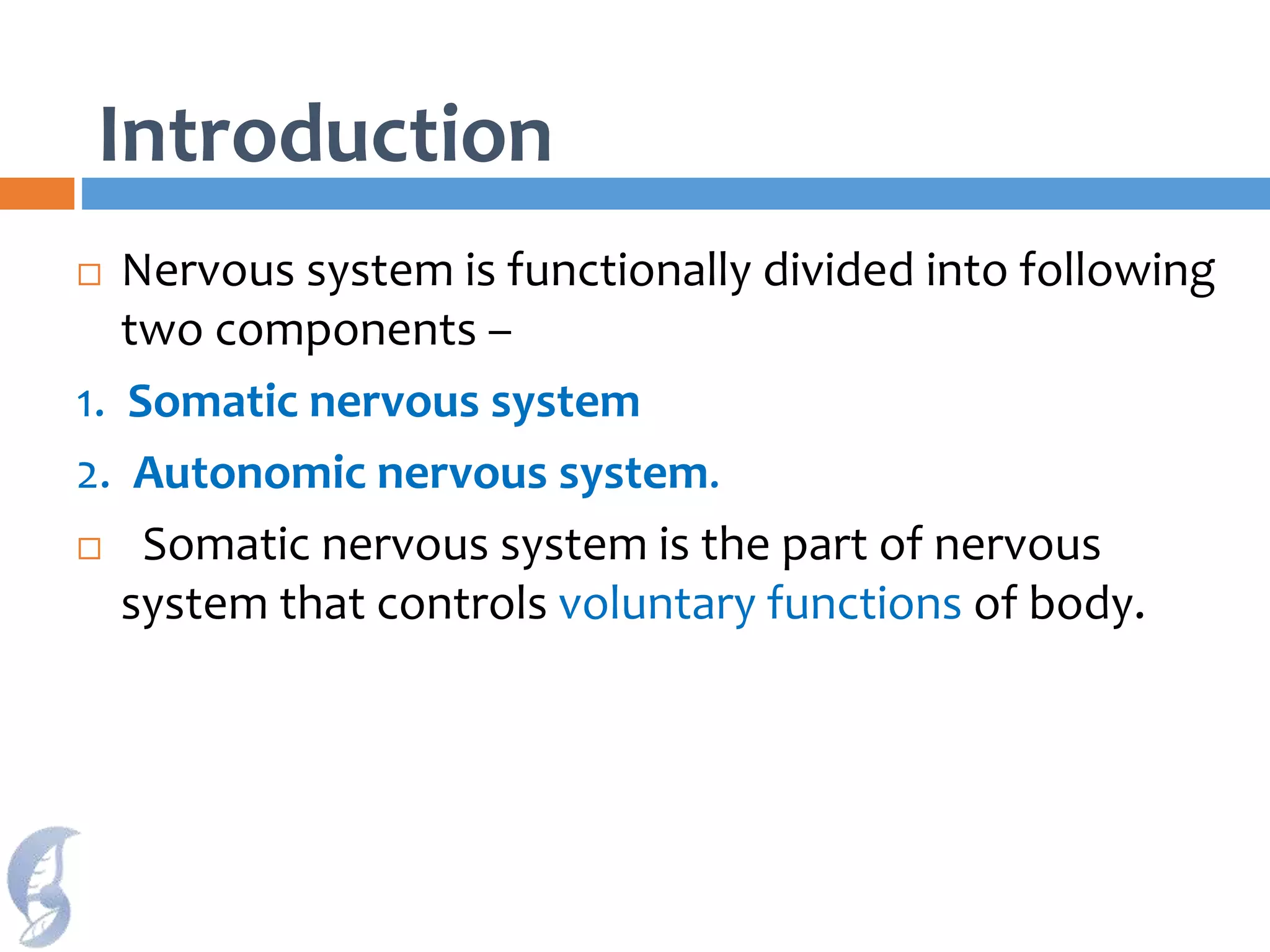 Sympathetic Anatomy | PPTX