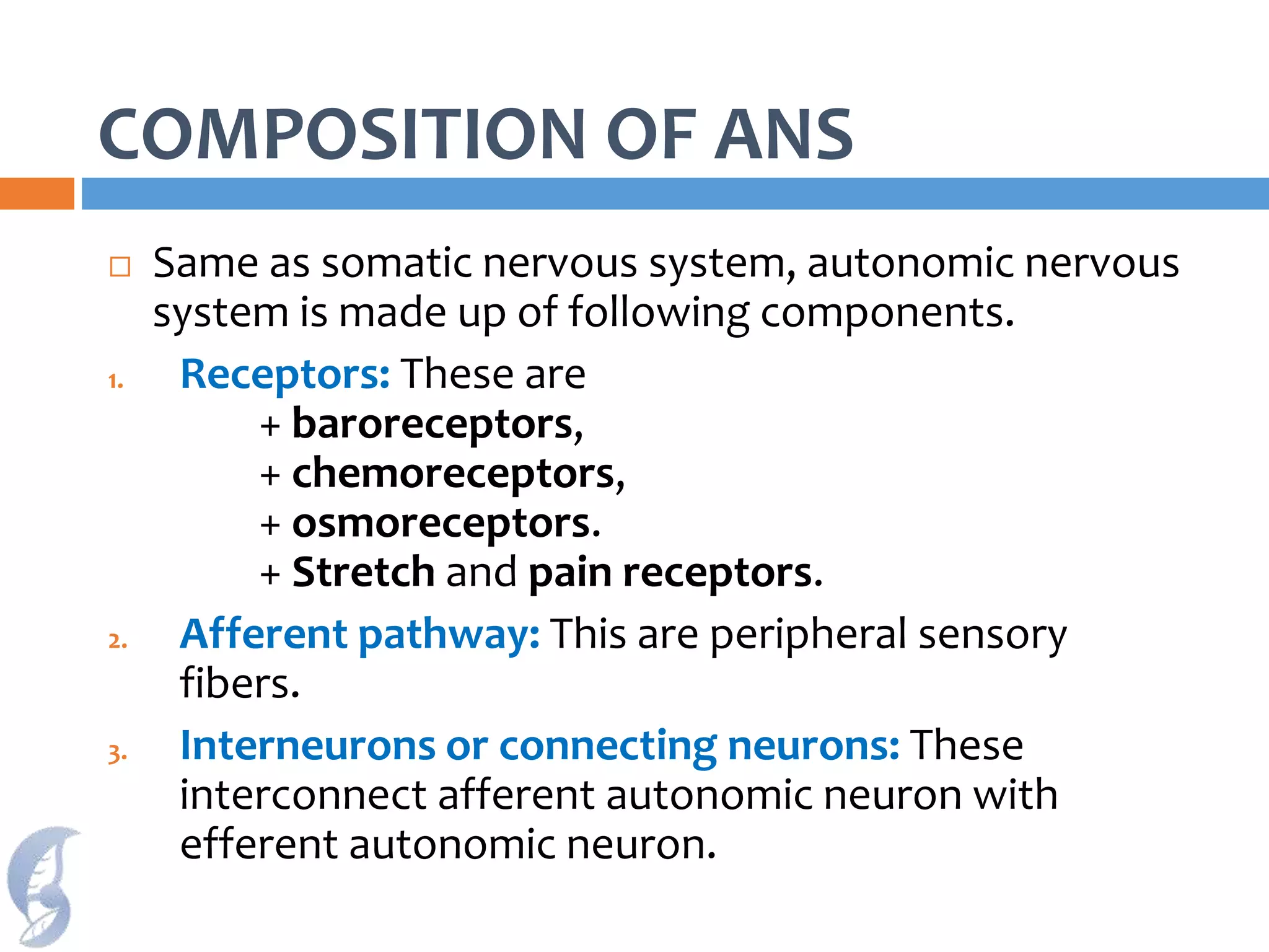 Sympathetic Anatomy | PPTX