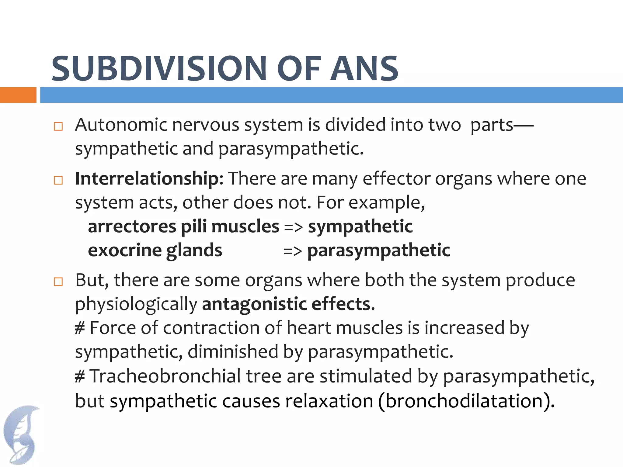 Sympathetic Anatomy | PPTX