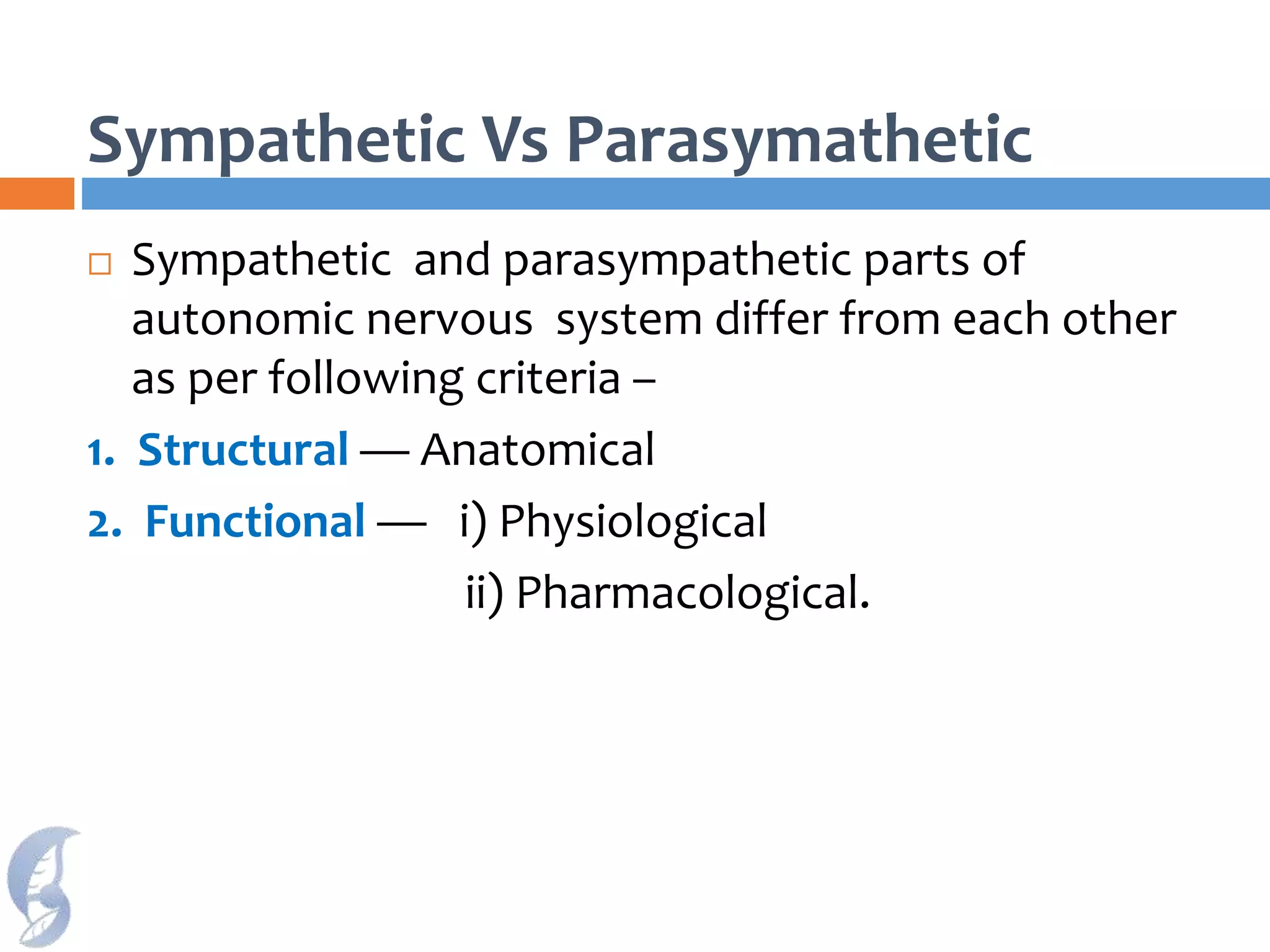 Sympathetic Anatomy | PPTX