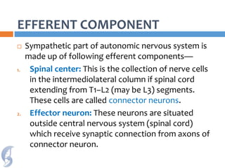 Sympathetic Anatomy | PPTX